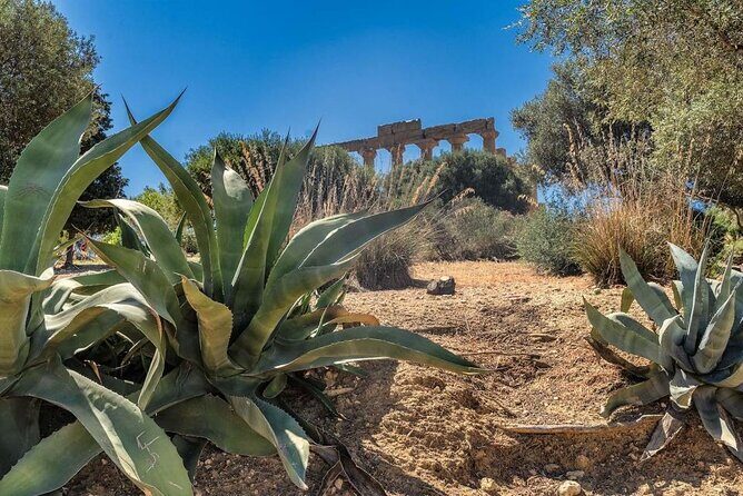 Guided tour to the Valley of the Temples of Agrigento from Cefalù - FAQ