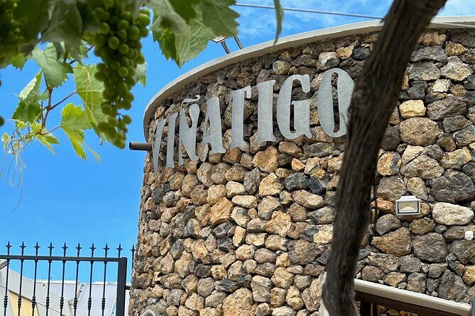 Guided Tour with 6 Wine Tasting - Practical Tips for Future Visitors