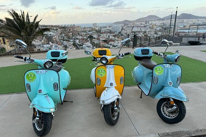 Guided Tour With Electric Moped - The Sum Up: Is This Tour Right for You?