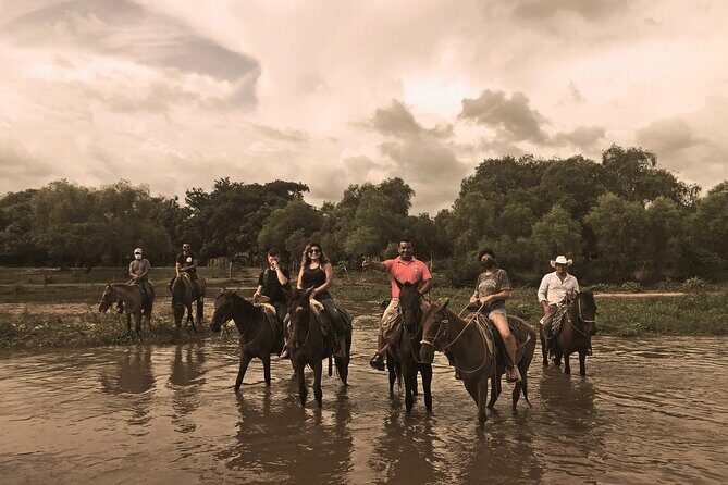 Guided Tour with Horseback Riding and Bioluminescence in Puerto Escondido - Authentic Insights from the Reviews