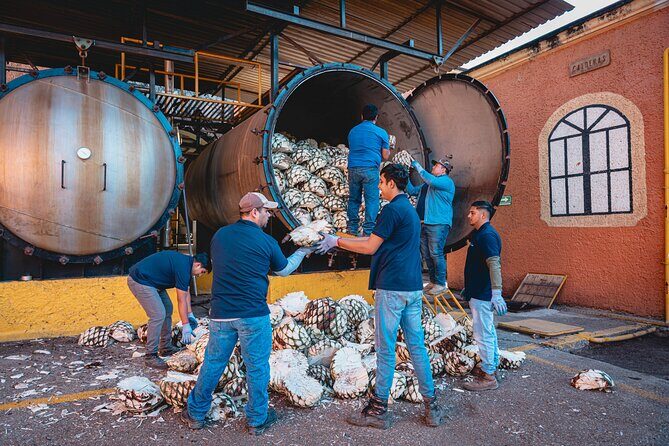 Guided Tour with Tasting in Tequilera Hacienda de Oro - What Makes This Tour Stand Out?