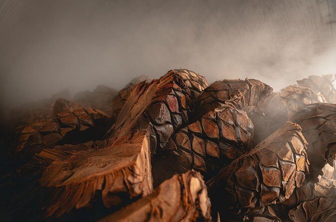 Guided Tour with Tasting in Tequilera Hacienda de Oro - Who Is This Tour Best For?