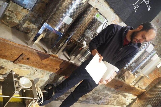 Guided tours of the olive grove with oil tasting. - Key Points