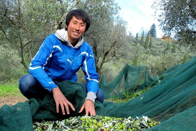 Guided tours of the olive grove with oil tasting. - Who Might Want to Consider Alternatives?