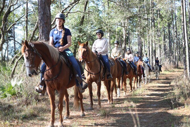 Guided Two Hour Horseback Trail Ride in Central Florida - Introduction: A Scenic Ride Through Central Florida’s Wilderness