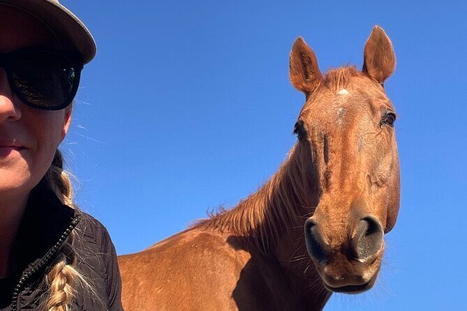 Guided Two Hour Horseback Trail Ride in Central Florida - Authentic Experiences from Reviews
