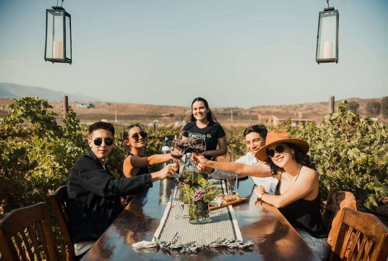 Guided Vineyard Tour with Wine Tasting at Rondo del Valle - Key Points