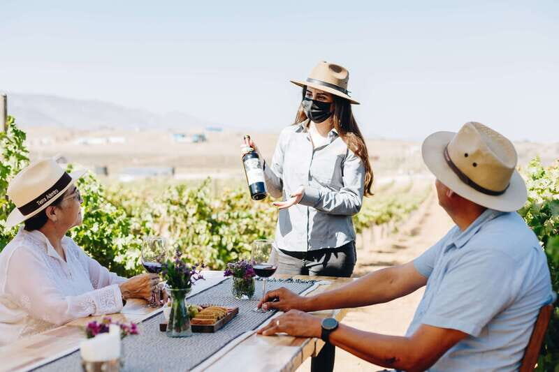 Guided Vineyard Tour with Wine Tasting at Rondo del Valle - Additional Details That Matter