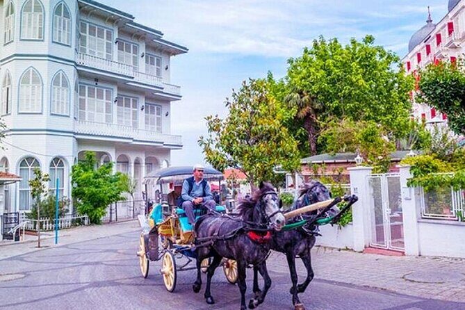 Guided VIP Princes Island Full Day Tour from Istanbul with Lunch - An In-Depth Look at the Prince Islands Tour Experience