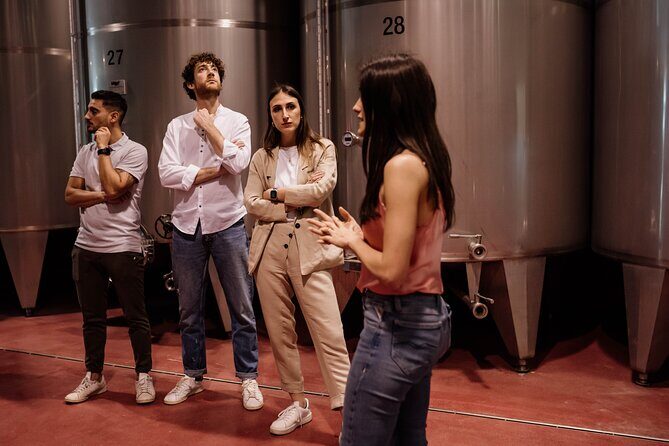 Guided Visit and Wine Tasting at the Winery in Veneto - An Authentic Look at Veneto’s Vineyard Charm  