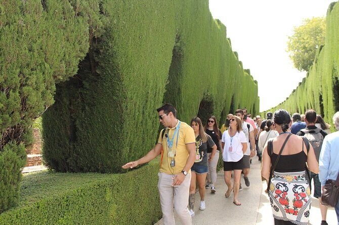 Guided visit to the Alhambra, Nasrid Palaces and Generalife - An In-Depth Breakdown of the Tour Experience