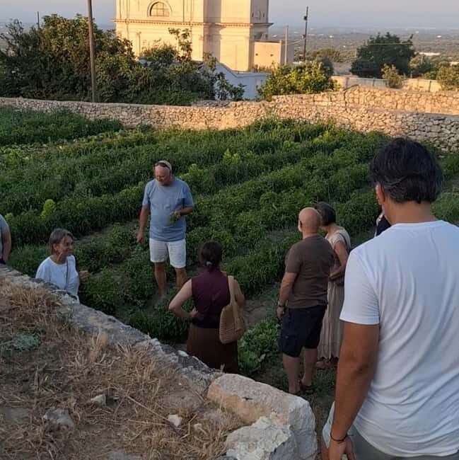 Guided visit to the Medieval Gardens of Ostuni - Why This Tour Offers Great Value