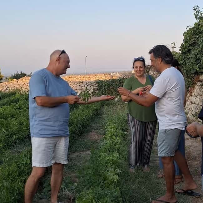 Guided visit to the Medieval Gardens of Ostuni - The Sum Up