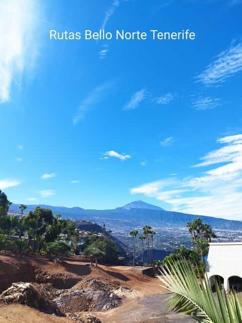 Guided walking tour in La Orotava 1:30 min, Tenerife - An In-Depth Look at the Tour Experience
