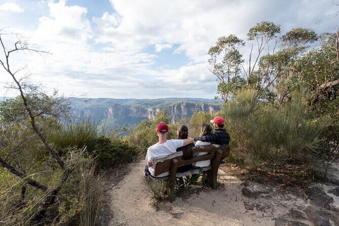 Guided Walking Tour in the Blue Mountains - Hidden Treasures - Who Is This Tour Best Suited For?