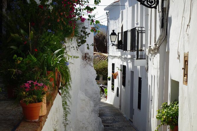 Guided Walking Tour of the Old Town of Frigiliana - Final Thoughts