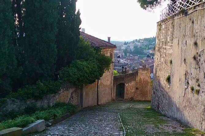 Guided Walking Tour on Verona Hillside - Who Will Love This Tour?