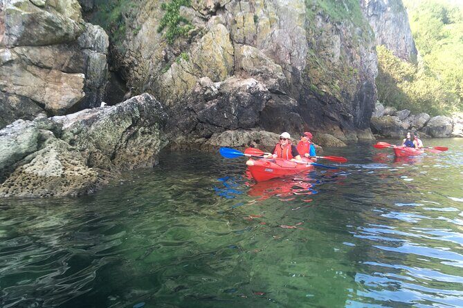 Guided Wildlife and Sea Cave Kayak Safari in English Riviera - Who Will Love This Tour?