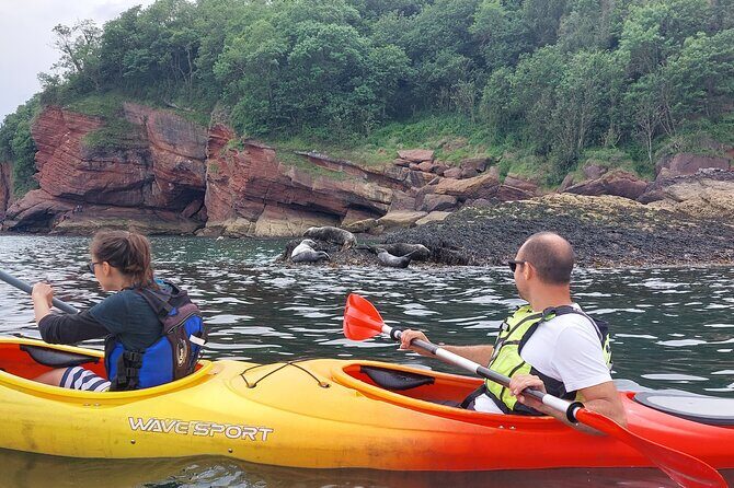 Guided Wildlife and Sea Cave Kayak Safari in English Riviera - The Sum Up