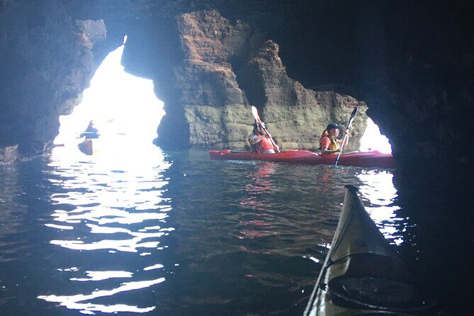 Guided Wildlife and Sea Cave Kayak Safari in English Riviera - FAQ