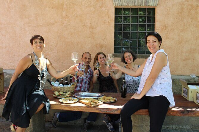 Guided Wine Tasting Experience in a Roman Vineyard - Who Should Book This Tour?