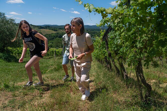 Guided Winery Tour and Wine Tasting in Siena - Why This Tour Offers Good Value