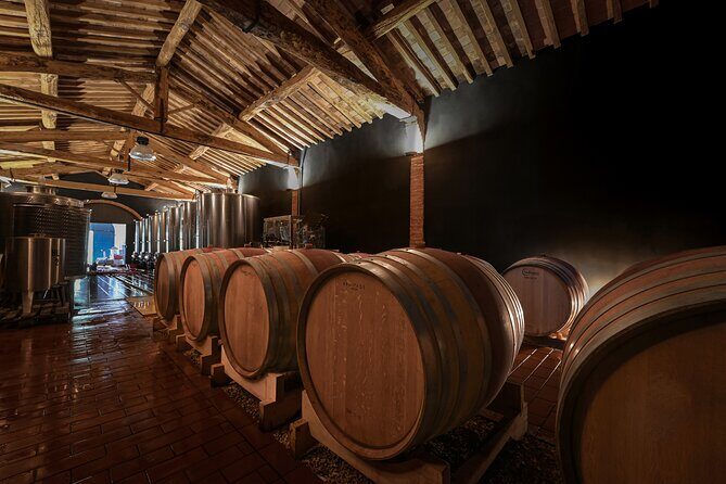 Guided Winery Tour and Wine Tasting in Siena - Authenticity and Unique Selling Points