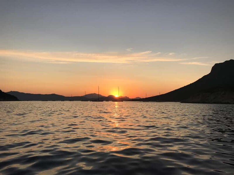 Gulf of Olbia: Dolphin watching by dinghy - An In-Depth Look at the Dolphin Watching Experience