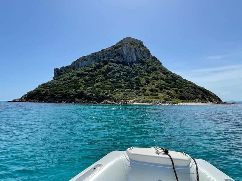 Gulf of Olbia: Dolphin watching by dinghy - Final Thoughts