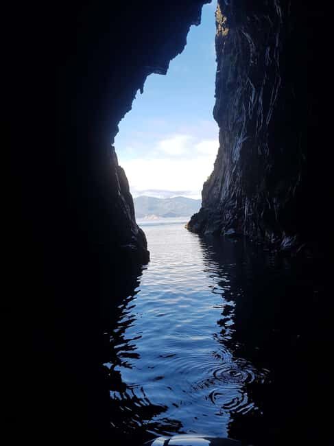 Gulf of Porto: Visit the Calanques de Piana and/or Scandola Reserve - Key Points