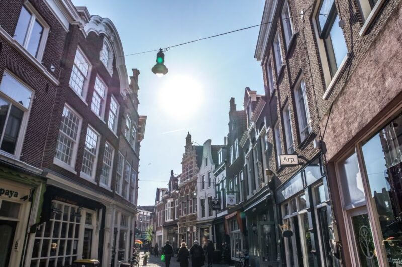 Haarlem: City Highlights Walking Tour - Haarlem: City Highlights Walking Tour