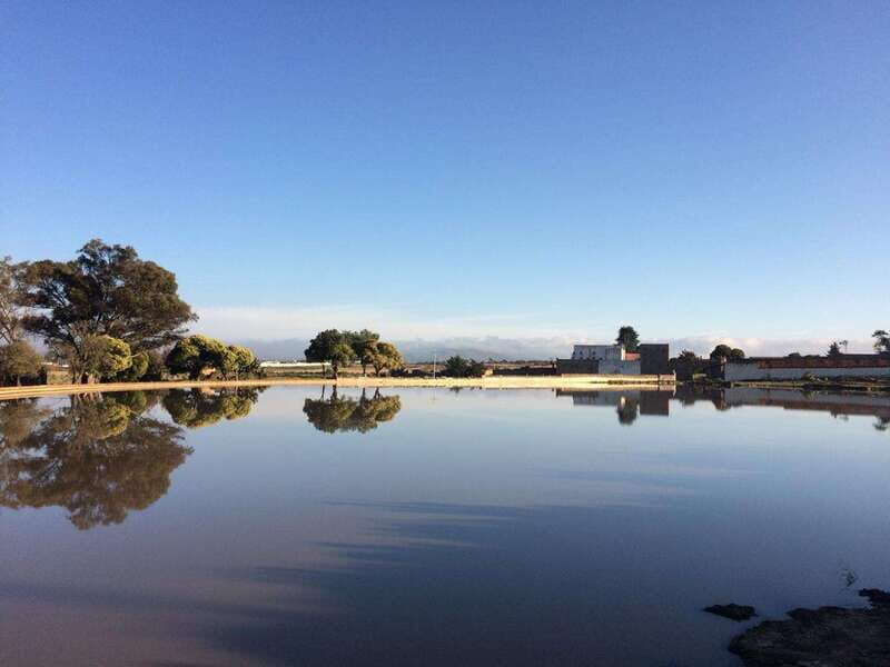 Hacienda Tochatlaco: historical visit, inside the main house - Inside the main house: original features and storytelling