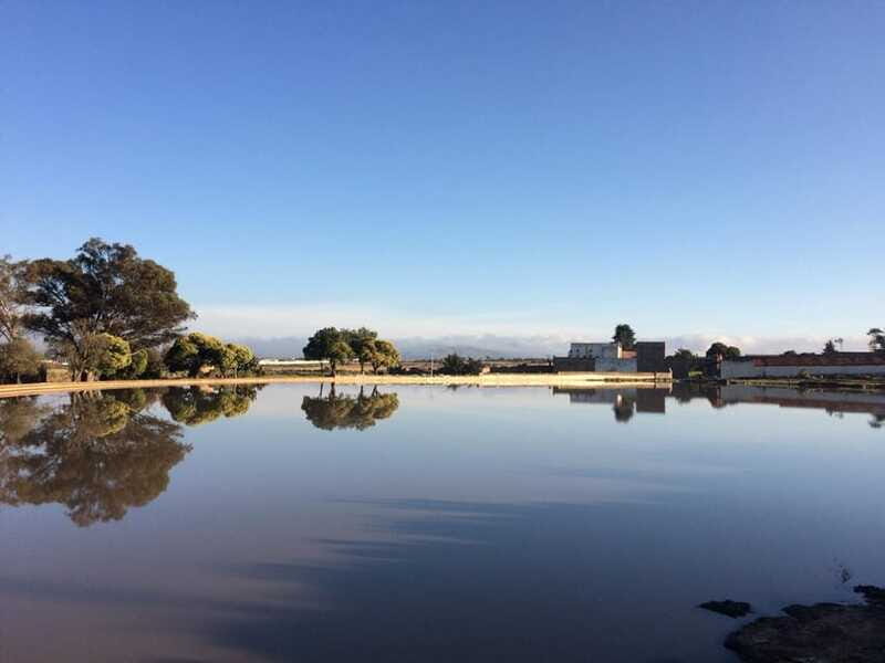 Hacienda Tochatlaco: historical visit, inside the main house - What the experience is like: a breakdown