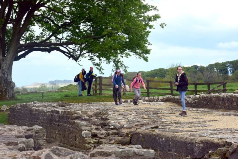Hadrian's Wall: Birdoswald Roman Fort Entry Ticket - Who Is This Tour Best For?