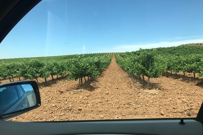 Haft-day Winery tour from Zaragoza - A Closer Look at the Winery Tour Experience