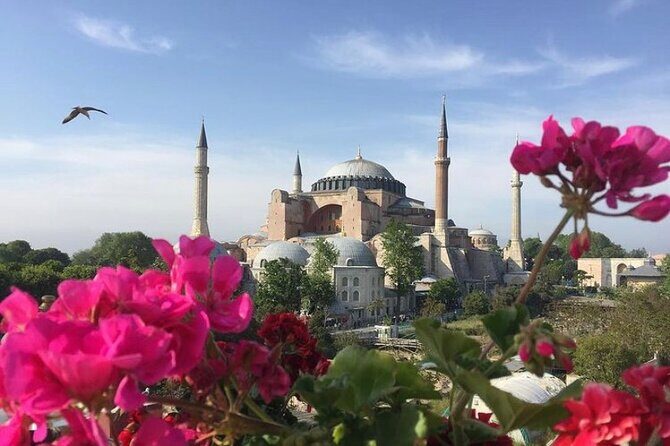Hagia Sophia Group Tour ( Licensed Guide) - Who Should Consider This Tour?