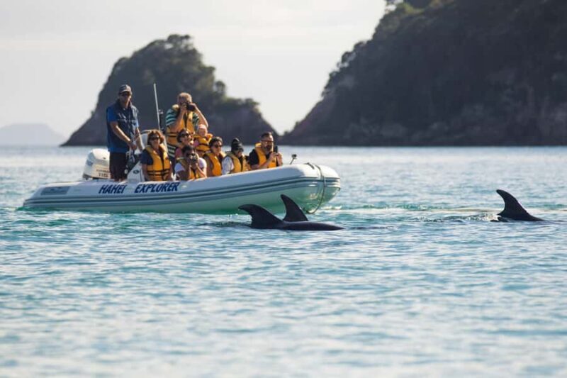 Hahei Explorer Cathedral Cove Boat Tour - Key Points