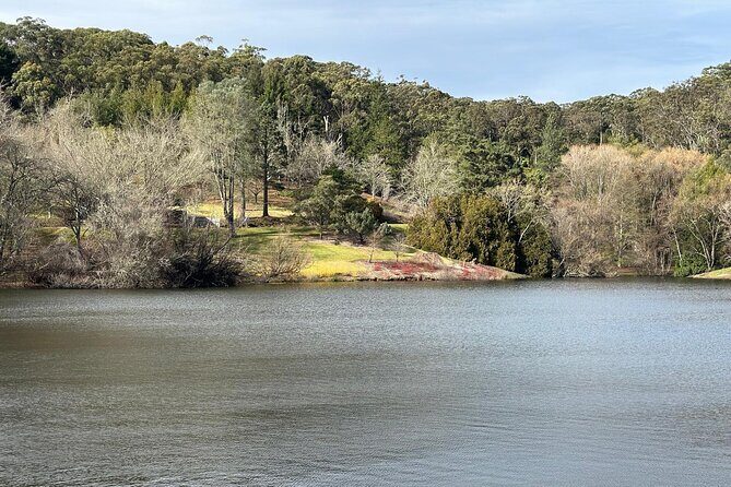 Hahndorf and Hills Wildlife Wonders - Exploring Hahndorf: A Slice of Germany in Australia