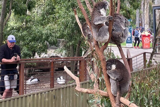 Hahndorf and Hills Wildlife Wonders - The Experience Guide: What Sets It Apart?