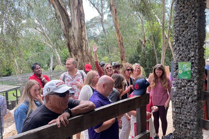 Hahndorf and Hills Wildlife Wonders - Who Will Love This Tour?