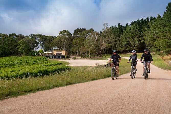 Hahndorf food and wine E-Bike Tour - Final Thoughts: Who Will Love This Tour?