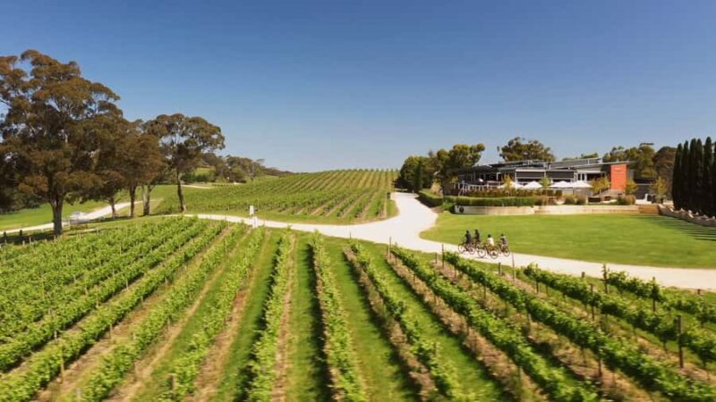 Hahndorf: Gourmet Food & Wine E-Bike Tour - Key Points  