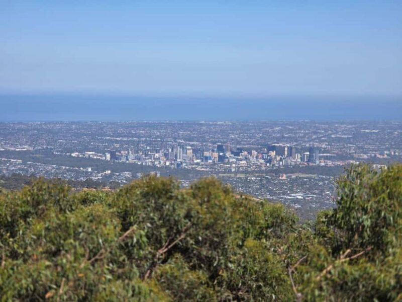 Hahndorf & Hills Full-Day Tour - Food and Tastings