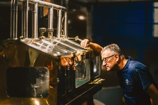 Hairy Coos & Highland Views: A Short Day Escape from Edinburgh - A Deep Dive into the Highland Escape