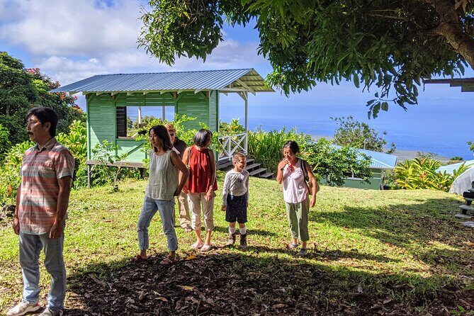 Hala Tree Coffee Farm Tour - The Experience and the Setting