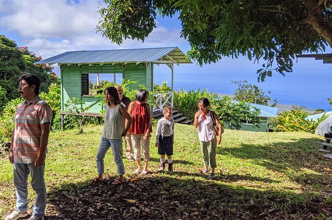 Hala Tree Coffee Farm Tour - The Sum Up