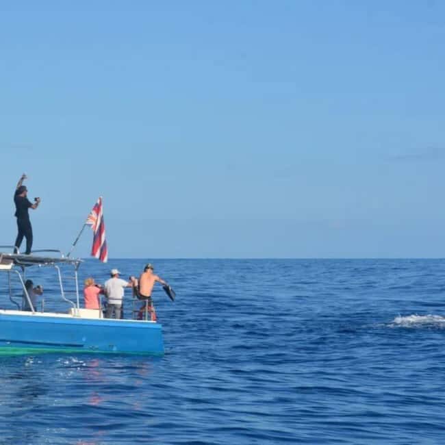 Haleiwa: North Shore Whale Watching Tour by Catamaran - The Experience from Booking to End