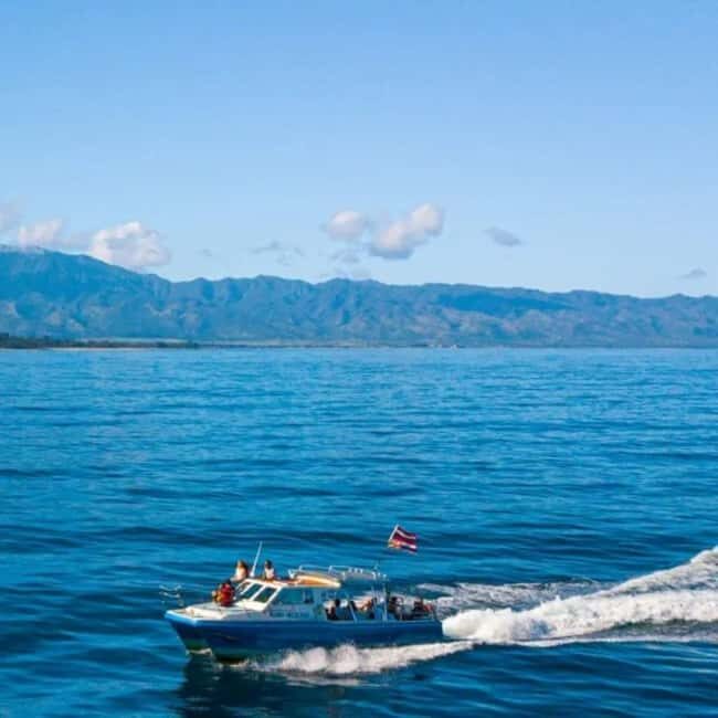 Haleiwa: North Shore Whale Watching Tour by Catamaran - Analyzing the Value