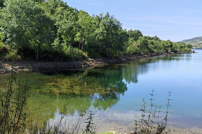 Half-day 4X4 tour of the Monchique Mountains and Lake Bravura - Discovering the Algarve’s Hidden Gems: A Review of the Half-Day 4X4 Tour of Monchique Mountains and Lake Bravura