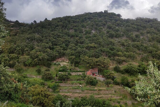 Half-day 4X4 tour of the Monchique Mountains and Lake Bravura - The Sum Up